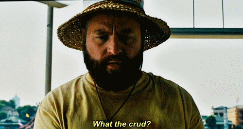The hangover GIF on GIFER - by Galkree