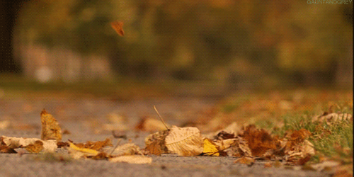 Autumn time GIF on GIFER - by Miralace