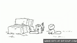 GIF rejection - animated GIF on GIFER - by Lainin