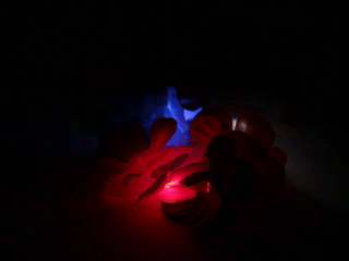 Multicolor GIF on GIFER - by Gadar