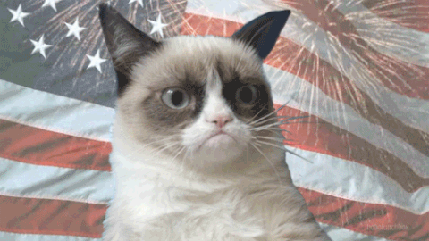 GIF aussie - animated GIF on GIFER - by Tarr