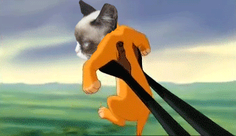 GIF spirit animal - animated GIF on GIFER - by Centrilar