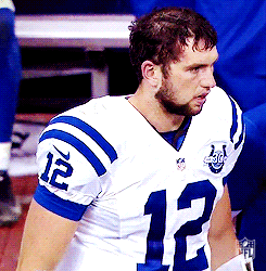 Nfl colts indianapolis colts GIF on GIFER - by Sardana