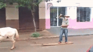 Awesome repost GIF on GIFER - by Gavinragas