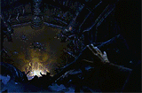Matrix the matrix movies GIF on GIFER - by Gholbijurus