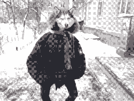 GIF the king - animated GIF on GIFER - by Voodoorn