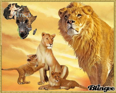 Lion GIF on GIFER - by Ballathis