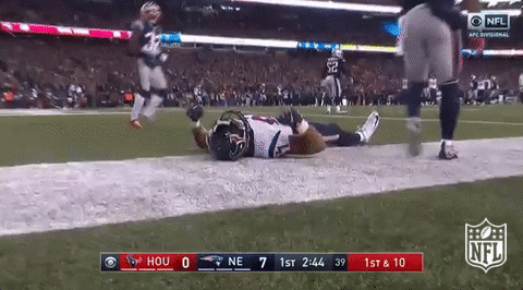 Football nfl houston texans GIF on GIFER - by Dajar