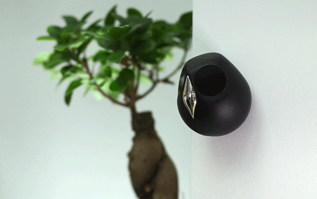 GIF so cute - animated GIF on GIFER - by Dalen