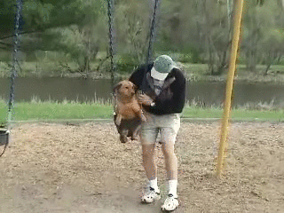 Morgan freeman GIF on GIFER - by Saithilbine