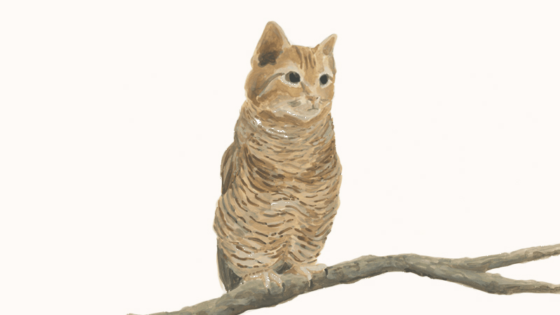 GIF please - animated GIF on GIFER - by Centrigda