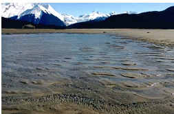 Funny fun water GIF on GIFER - by Saberbringer