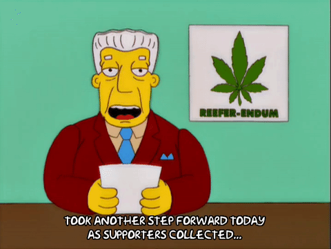 GIF reporting news season 13 - animated GIF on GIFER - by Wrathwarden