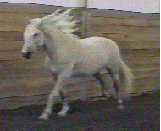 Speed demon GIF on GIFER - by Adorad