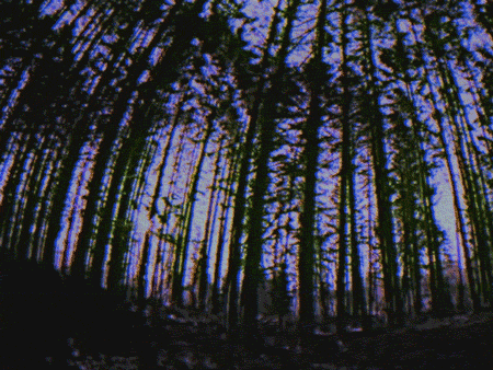 Vhs sun sol GIF on GIFER - by Sternwing