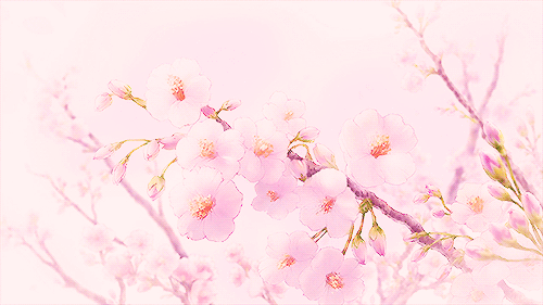 Sakura GIF on GIFER - by Shaktishakar
