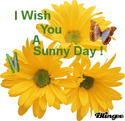 Sunny GIF on GIFER - by Bludcliff