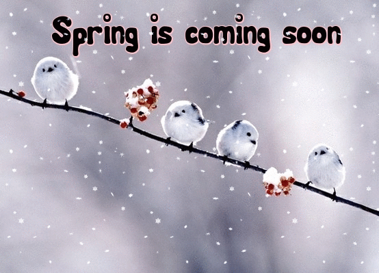 GIF spring - animated GIF on GIFER - by Saithith
