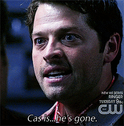 Recap episode GIF on GIFER - by Anarus