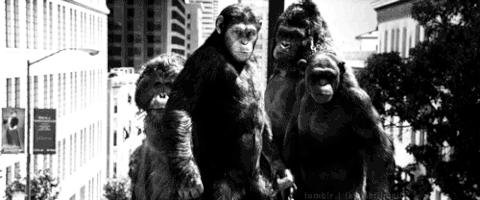 Running Away In Fear Gif