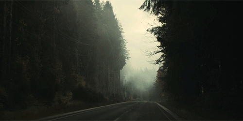 Drive trees roadtrip GIF on GIFER - by Mobandis