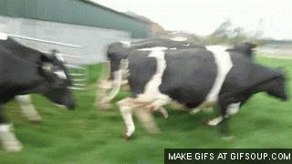 Eye doctor eyes capades optometrist GIF en GIFER - de Adorathris