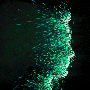 After effects profile vfx GIF on GIFER - by Blackstalker