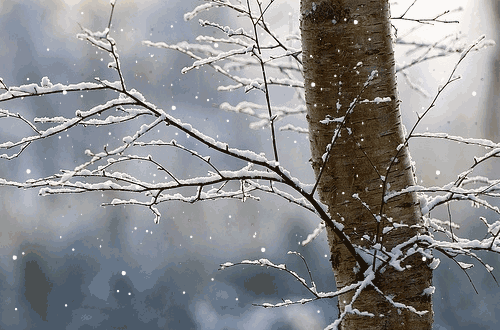 Christmas winter january GIF on GIFER - by Mora