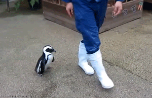 GIF cartoon network - animated GIF on GIFER - by Tulkree