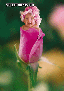 GIF babies - animated GIF on GIFER - by Mekora