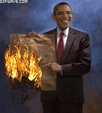GIF constitution - animated GIF on GIFER - by Samunos