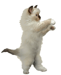 GIF transparent dance - animated GIF on GIFER - by Shabar
