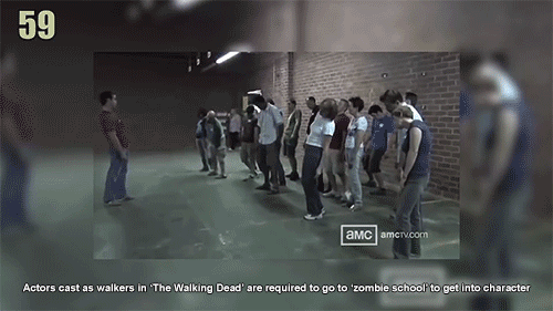 GIF amc the walking dead the walking dead channel frederator - animated ...