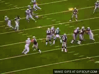 Randy moss randy moss GIF on GIFER - by Vim