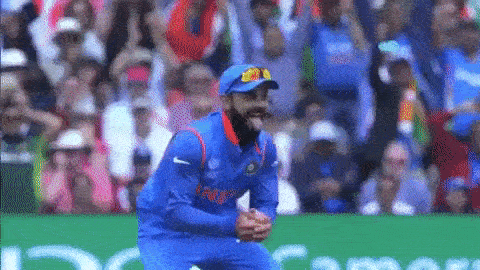 Cricket virat kohli doggy kohli GIF on GIFER - by Gholace