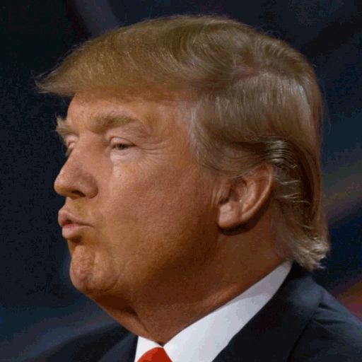 GIF donald trump - animated GIF on GIFER - by Purebearer