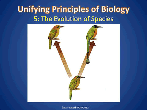 Biology GIF on GIFER - by Gakelv