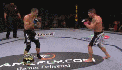 Ufc GIF on GIFER - by Ditilar