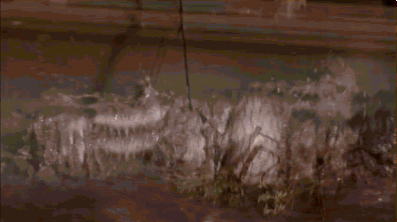 Spin boat swamp people GIF on GIFER - by Samumi