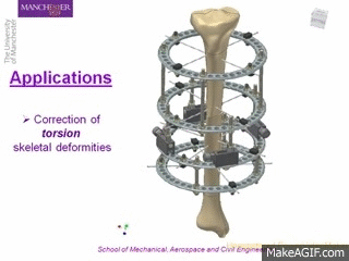 Finite element GIF on GIFER - by Mazujas