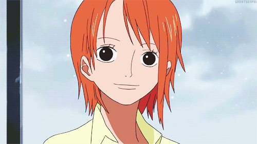 Nami chopper GIF on GIFER - by Mazutilar