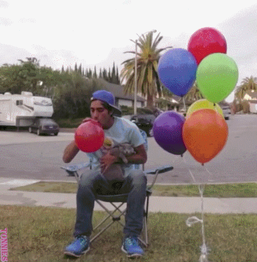 King GIF on GIFER - by Dolabar