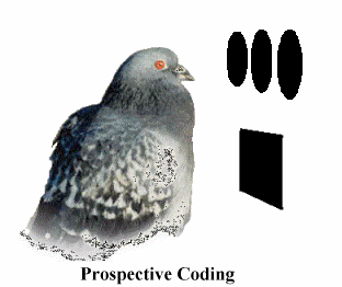 Coding GIF on GIFER - by Whitefist