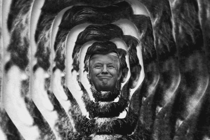Donald trump GIF on GIFER - by Gajar