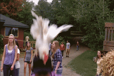 Rock GIF on GIFER - by Foriel