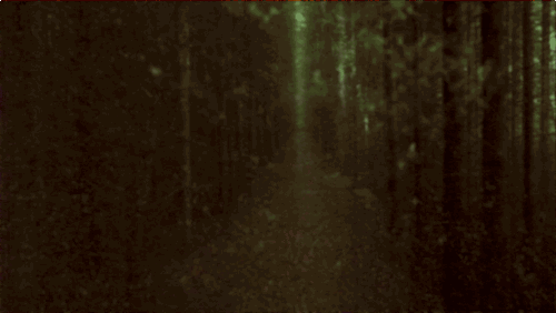 Alien forest arnold schwarzenegger GIF on GIFER - by Bacage
