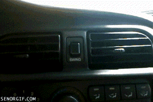 Science win cars GIF on GIFER - by Felhalas