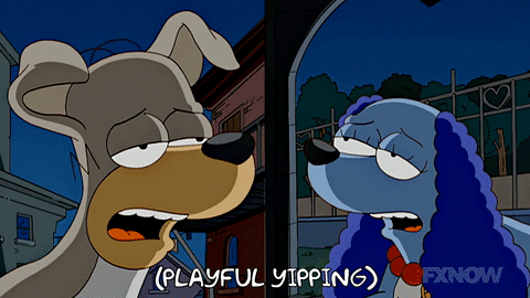 Episode 12 season 19 19x12 GIF on GIFER - by Arashigar