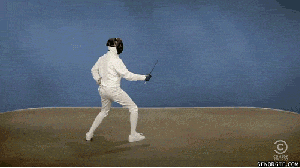 Martial arts GIF on GIFER - by Brarana