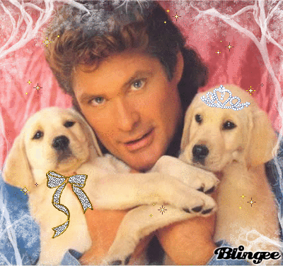 David hasselhoff GIF on GIFER - by Spellshade